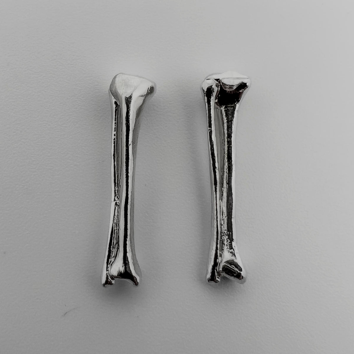 Tibia Fibula Bone Pair – Nature Walk Castings