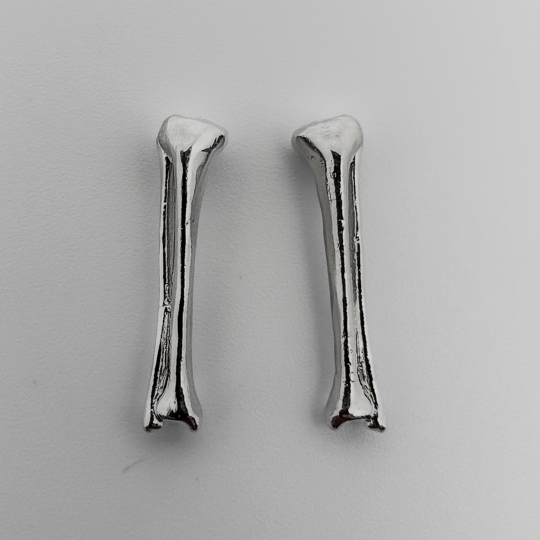 Tibia Fibula Bone Pair – Nature Walk Castings